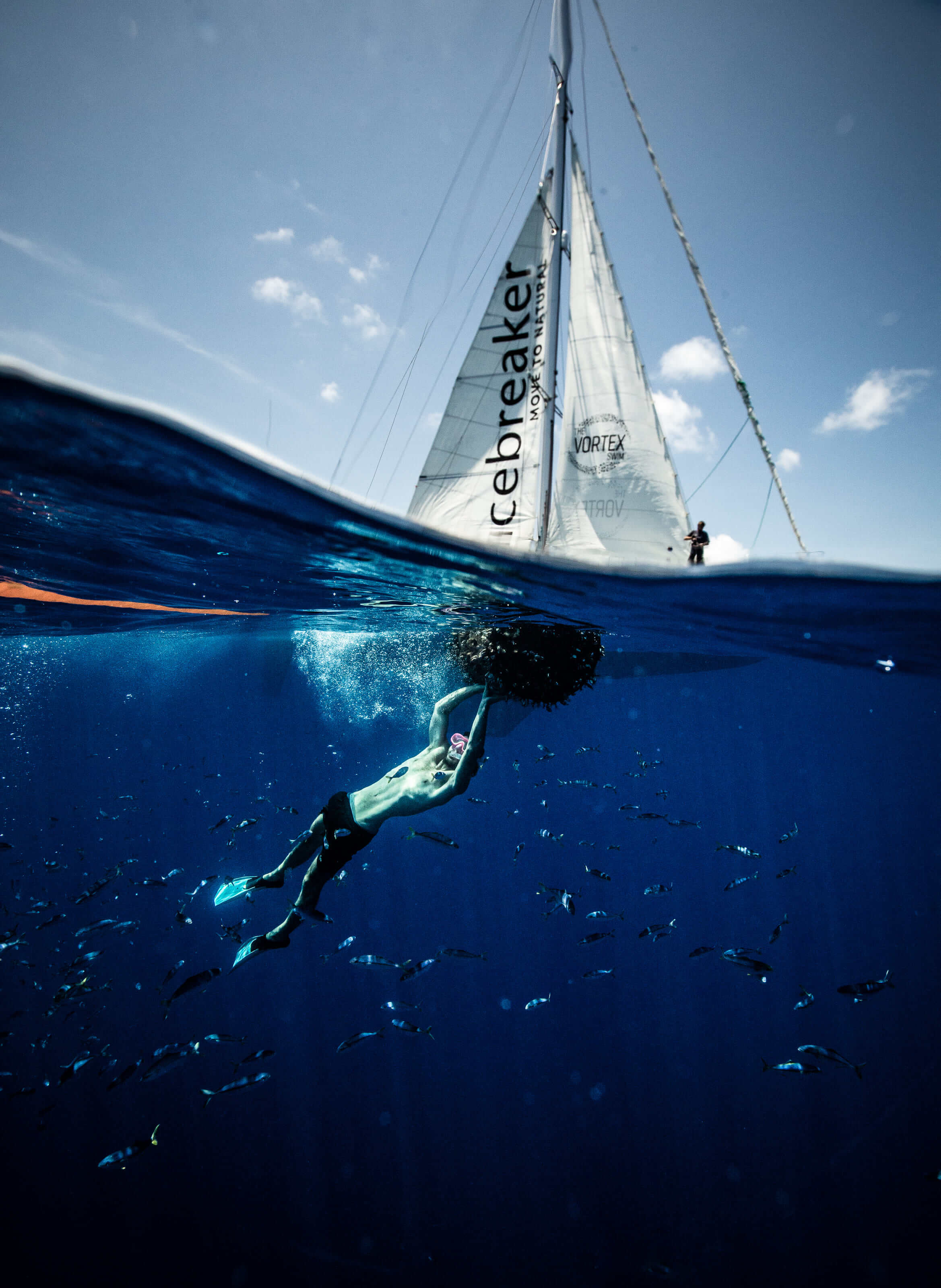 Benoit Lecomte - The Vortex Swim